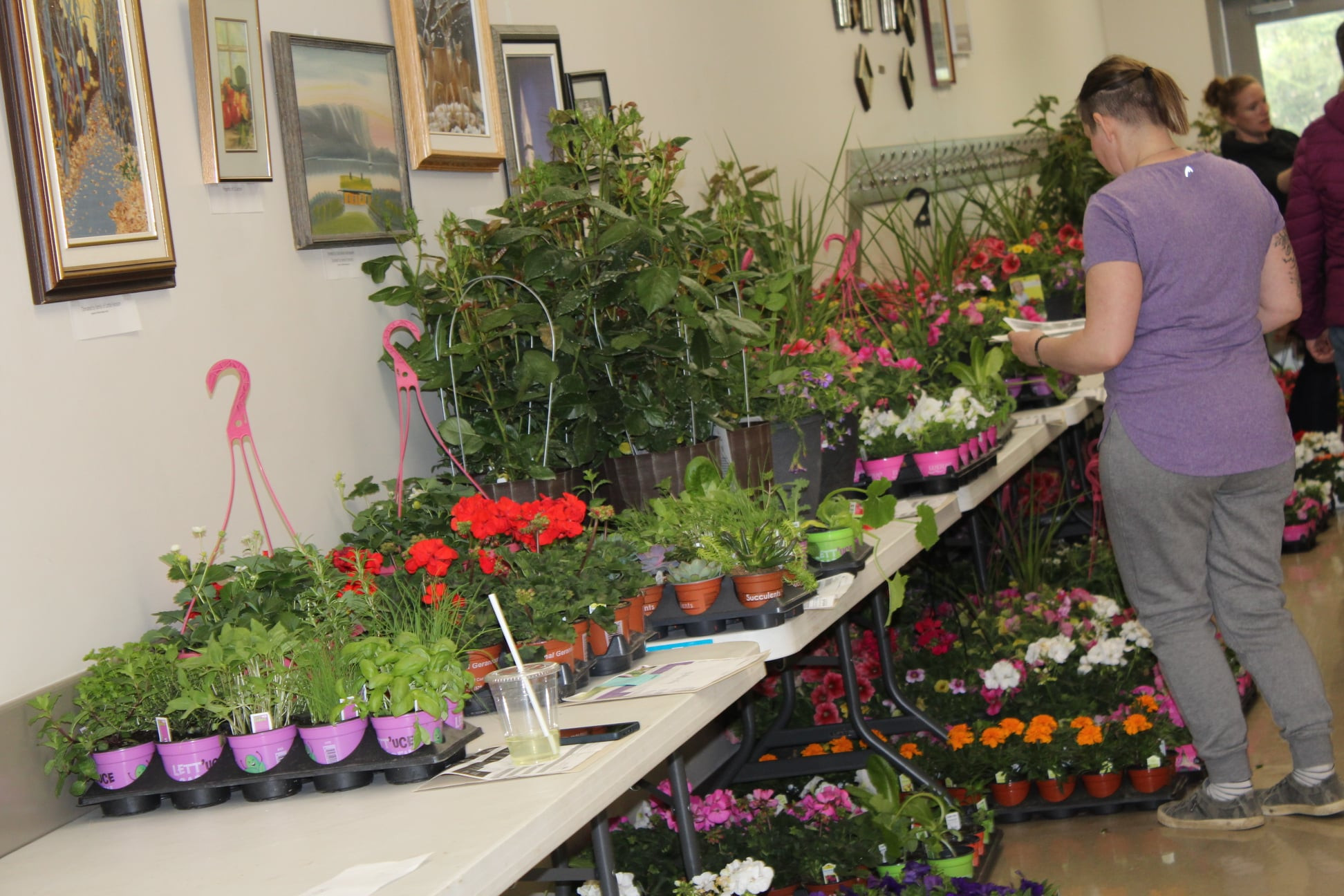 Product Summary : Valhalla Community School